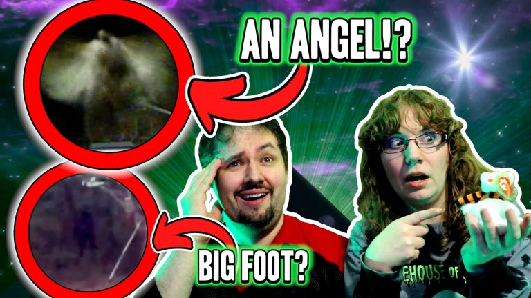 Phelan Porteous | Phelous